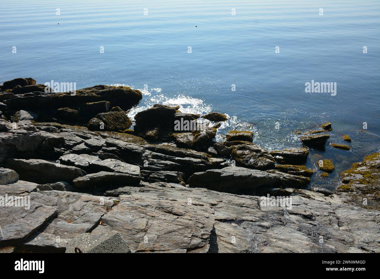 Horizon with island and landforms on Atlantic near Rockport, Maine ...