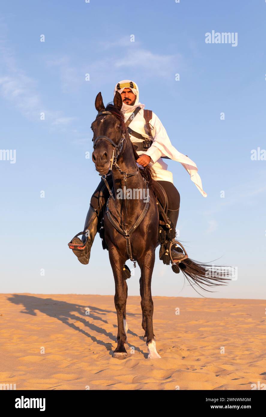 Portrait of a Saudi man with his black stallion Stock Photo - Alamy