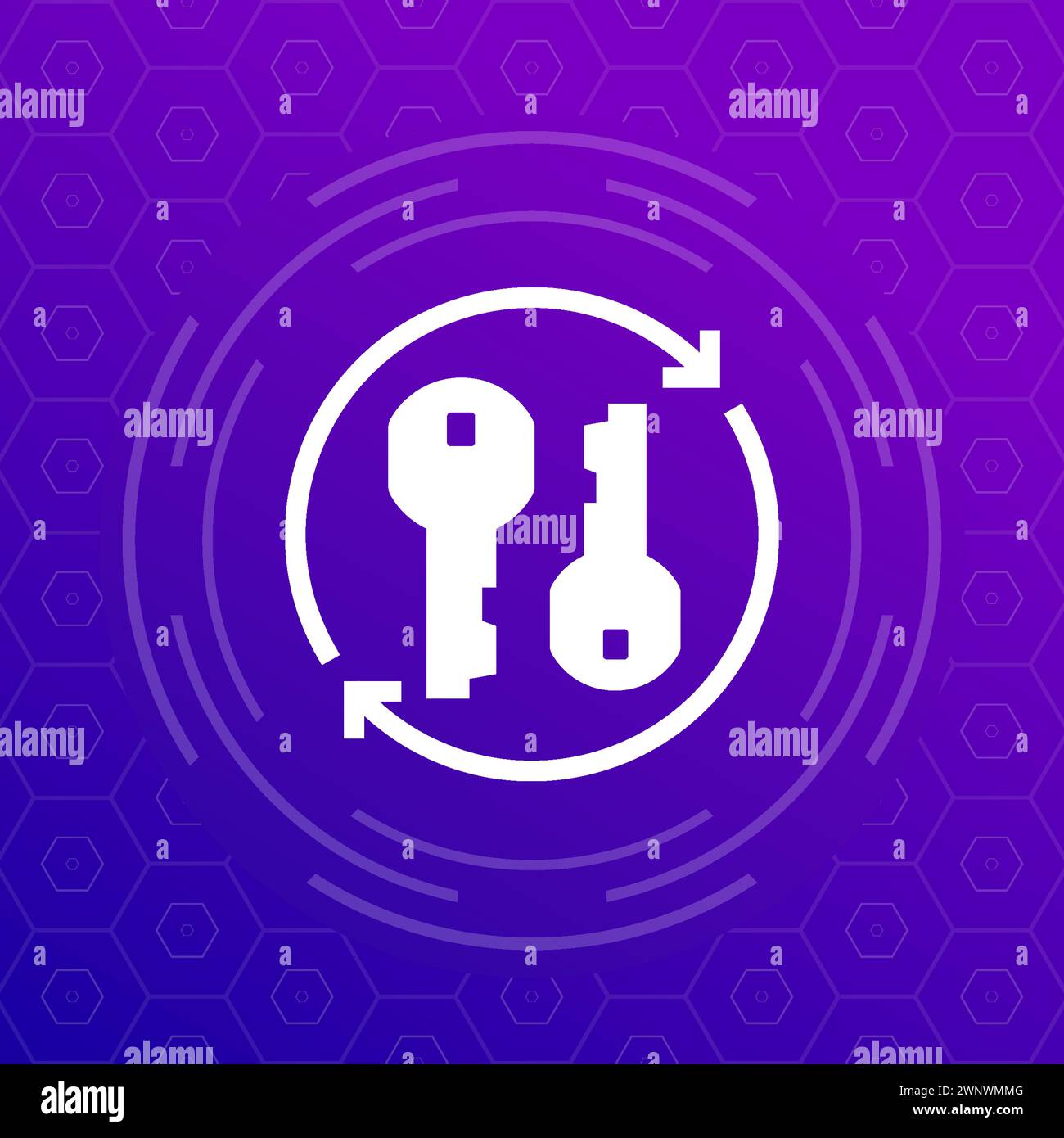 change keys icon for web and apps Stock Vector Image & Art - Alamy