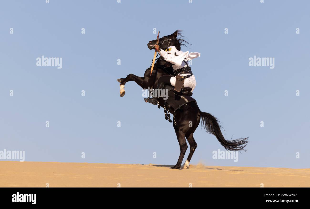 Saudi man in a desert with his stallion on hind legs Stock Photo - Alamy