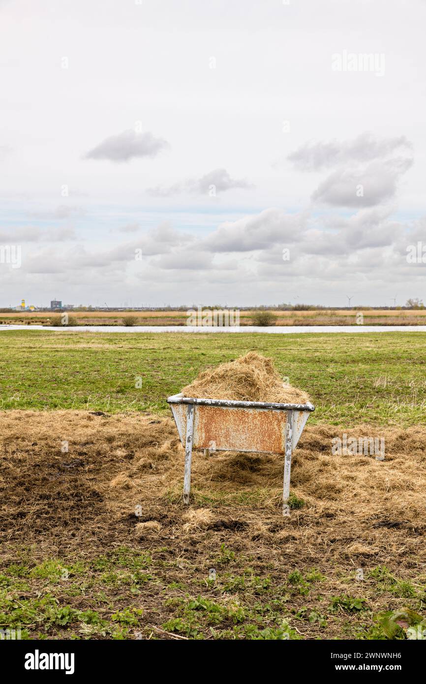 Cattle feeding trough hi-res stock photography and images - Alamy