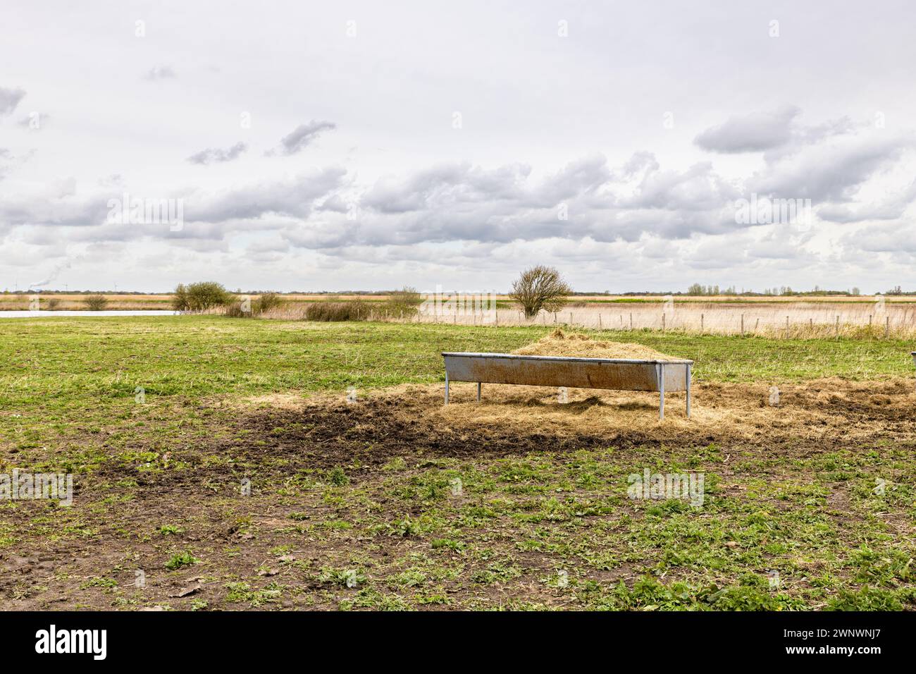 Cattle feeding trough hi-res stock photography and images - Alamy