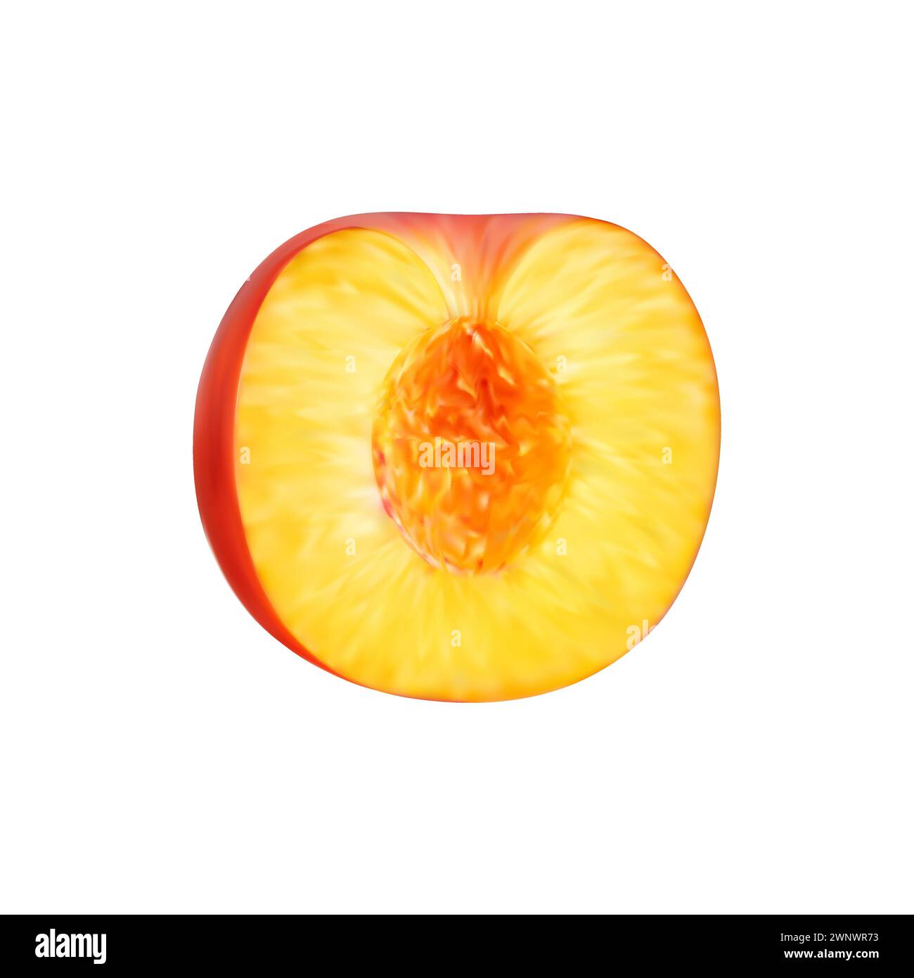 Peach cut closeup Stock Vector Images - Alamy