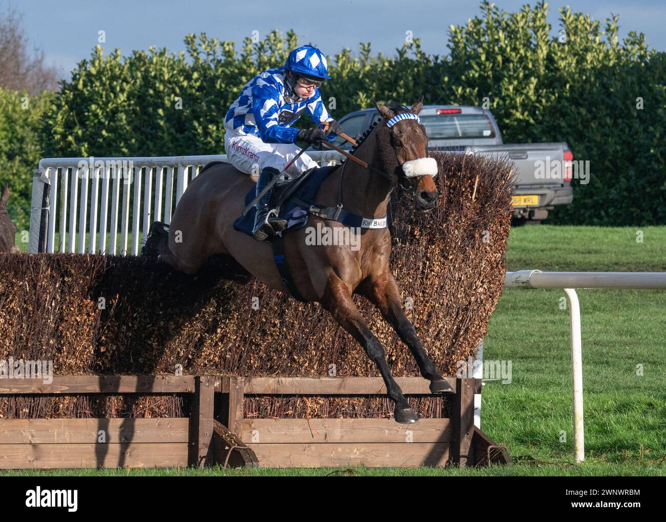 Does He Know withs theGrimthorpe Chase at Doncaster Racecourse on Saturday 4th March 2024 Stock ...
