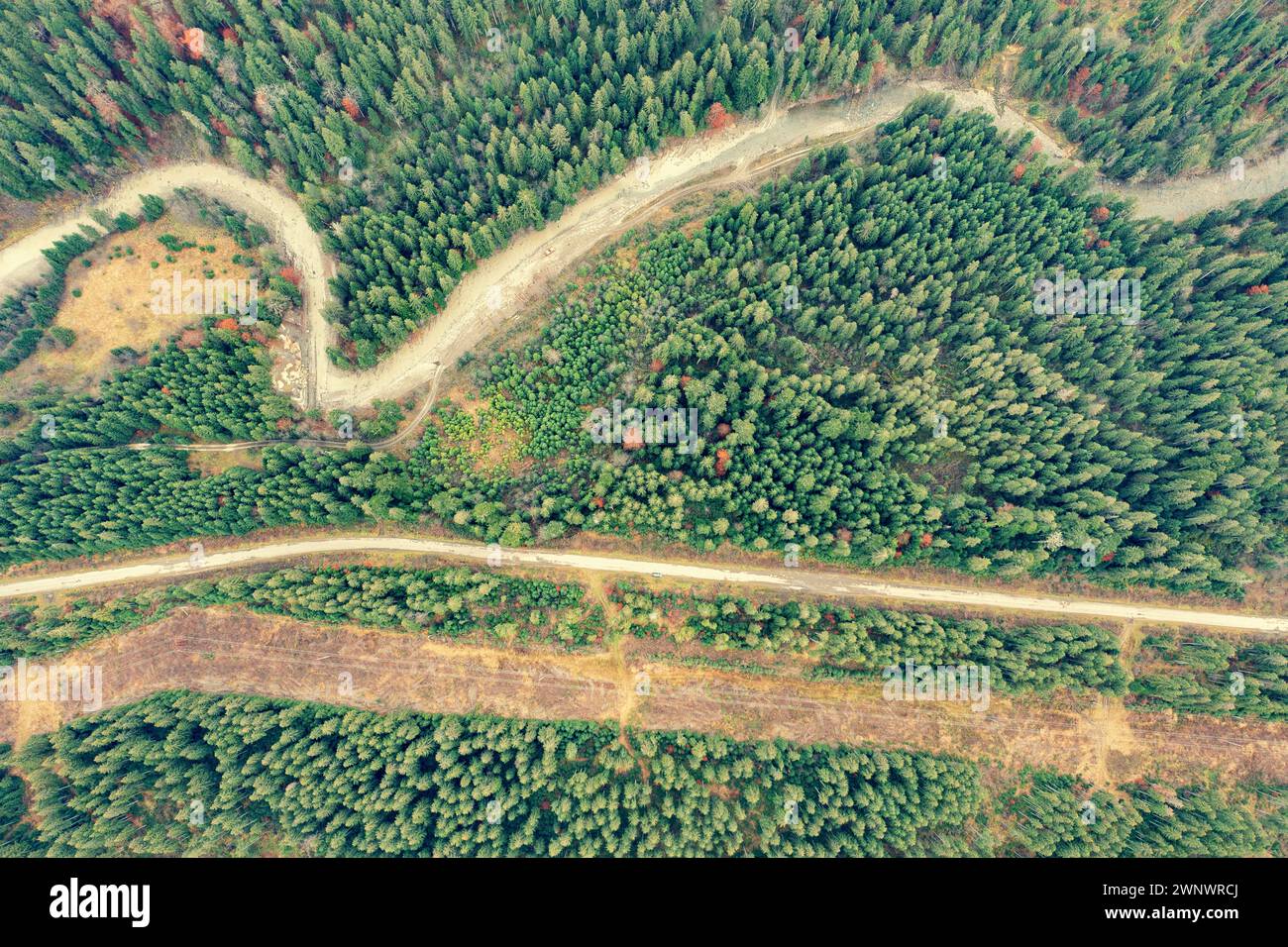 View of the mountain winding road from above. Carpathian mountains in ...
