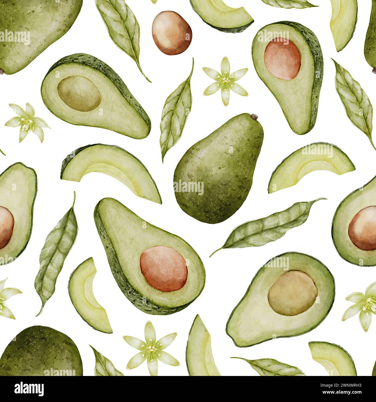 Avocado seamless Pattern. Watercolor background of green food. Hand ...