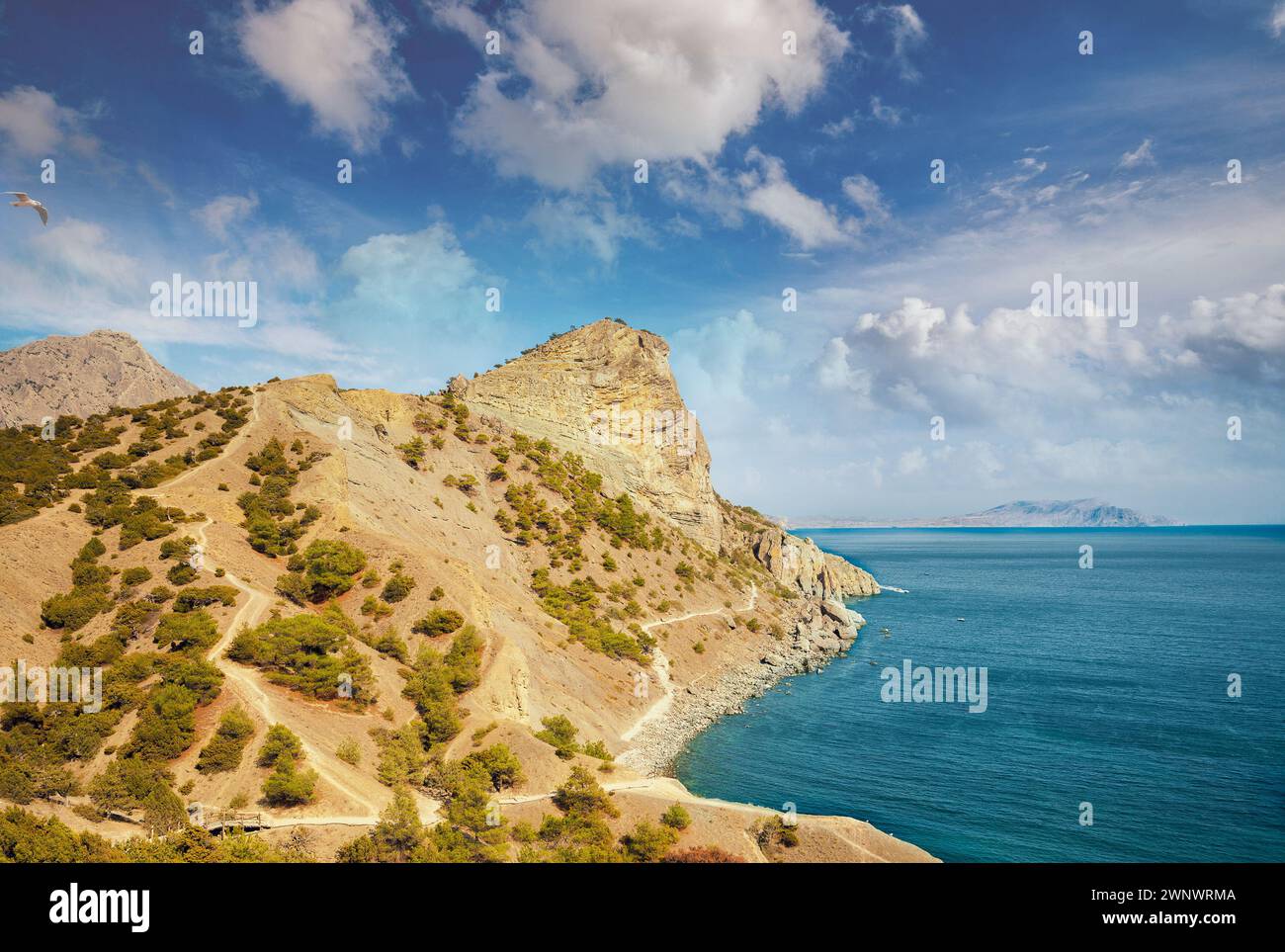 Wilde beach hi-res stock photography and images - Alamy