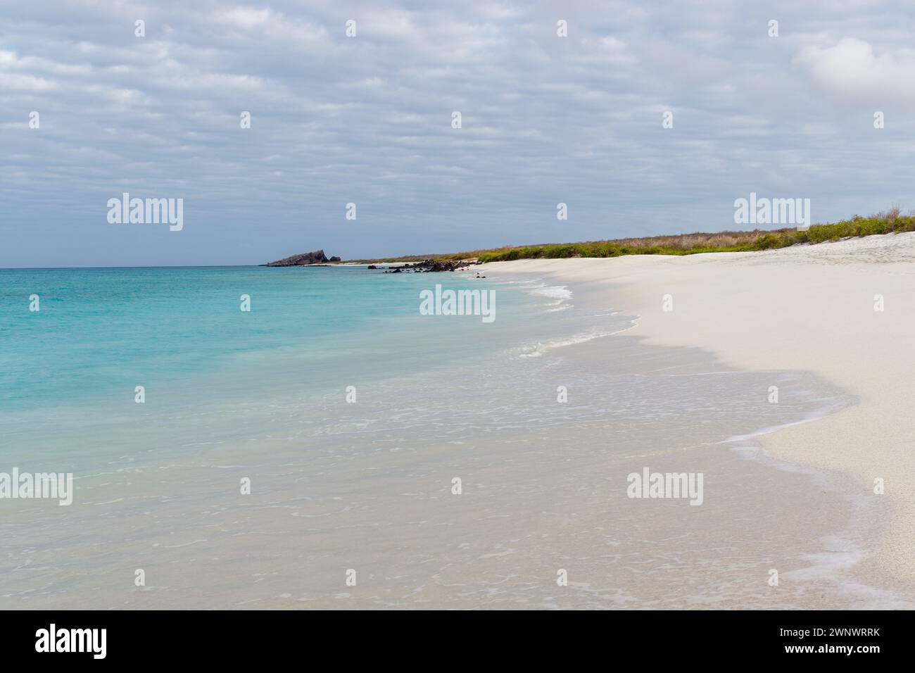 Sandy beach at Gardner Bay on Espanola Island, Galapagos National park ...