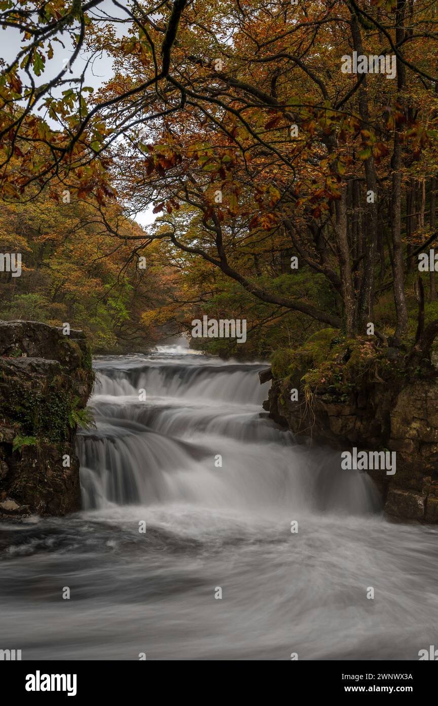 Autumnal waterfall along the Four Waterfalls walk, Waterfall Country ...