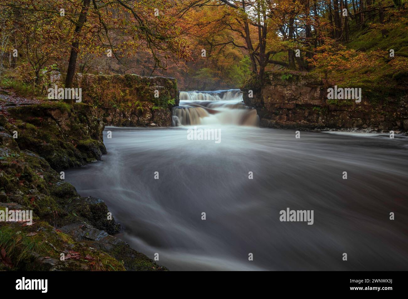 Autumnal waterfall along the Four Waterfalls walk, Waterfall Country ...