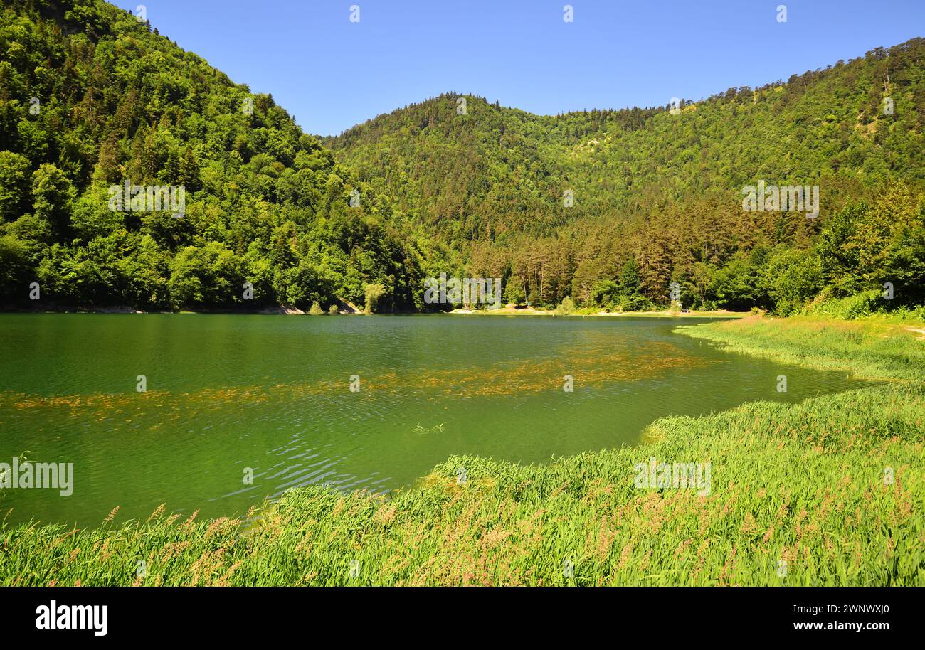 Suluklu Lake in Bolu, Turkey Stock Photo - Alamy