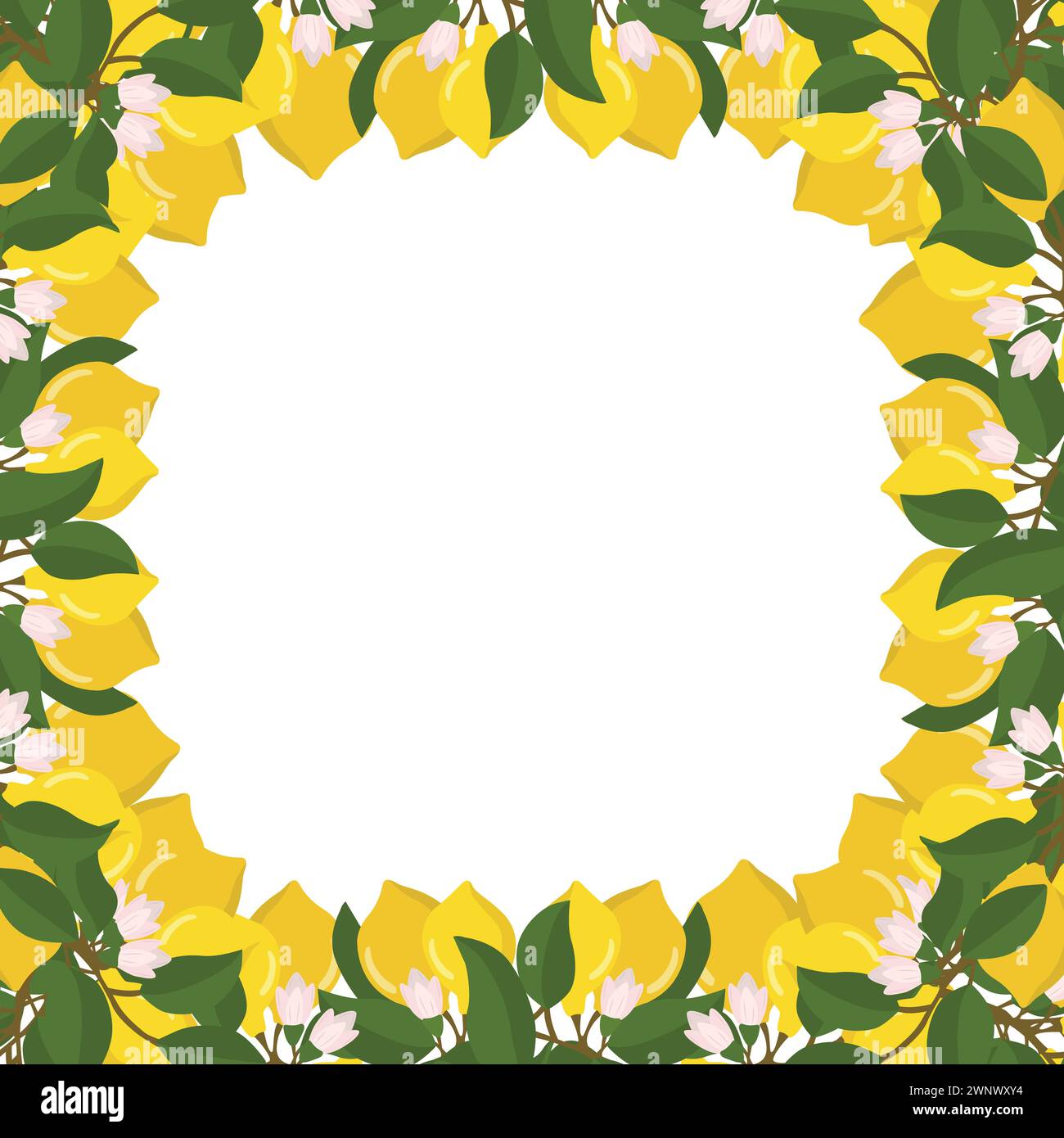 A border of lemon twigs and lemons. Composition of citrus fruits ...