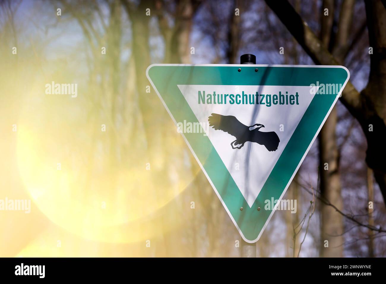 Ein Hinweisschild Naturschutzgebiet im Königsdorfer Forst. Themenbild ...