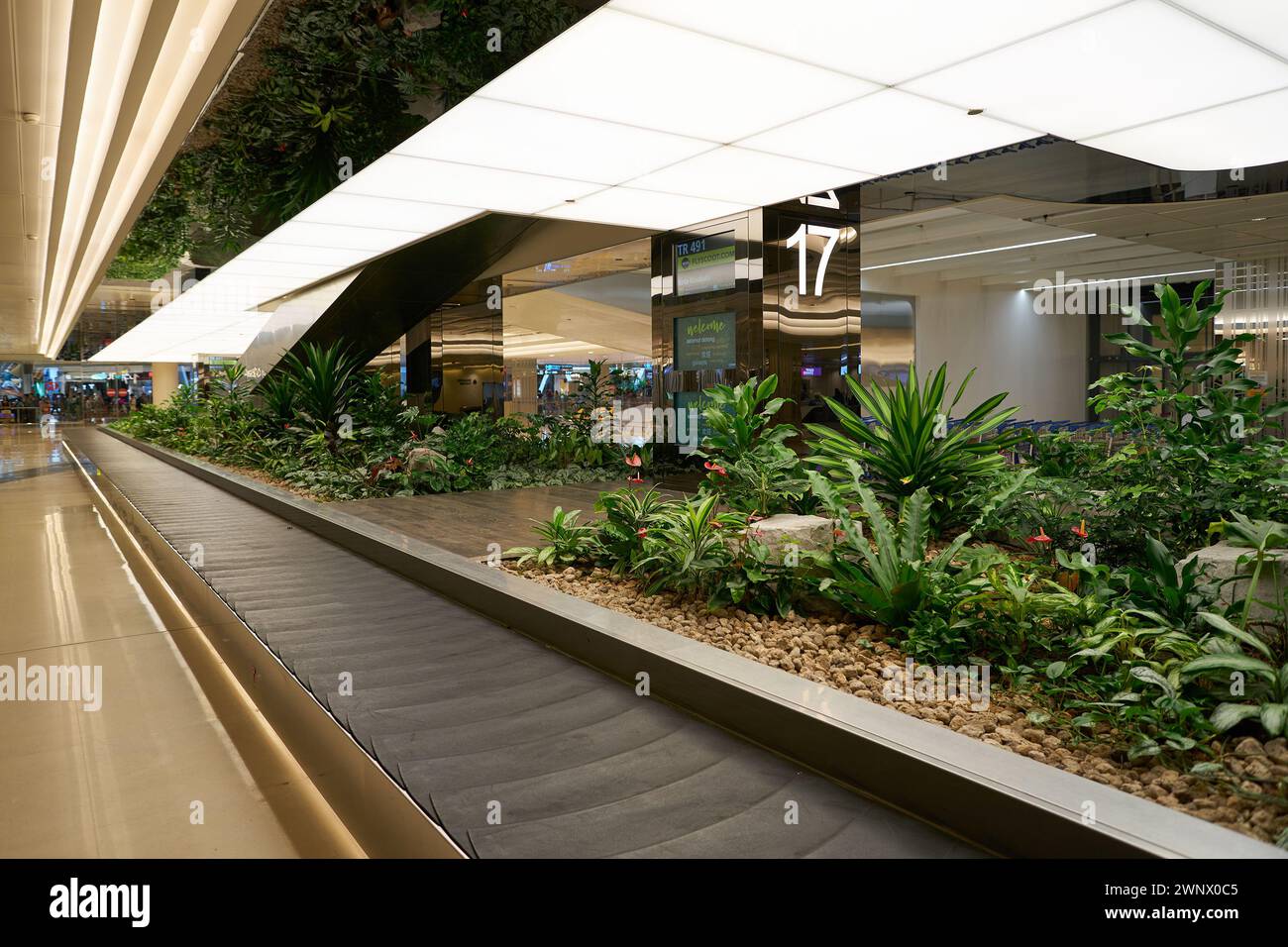 SINGAPORE - NOVEMBER 04, 2023: baggage claim area Singapore Changi ...
