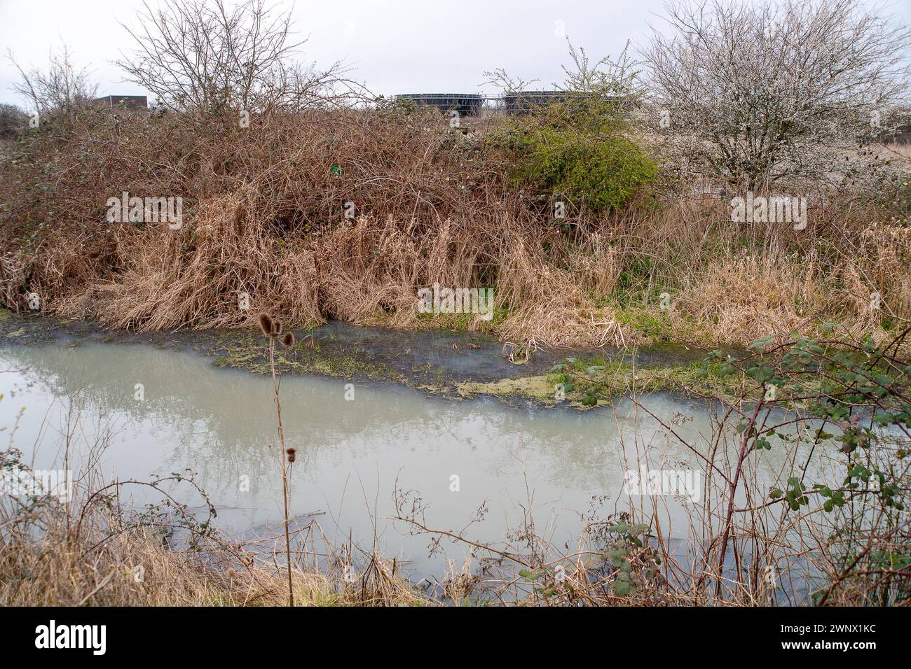 Slough, UK. 4th March, 2024. Thames Water are discharging sewage from ...
