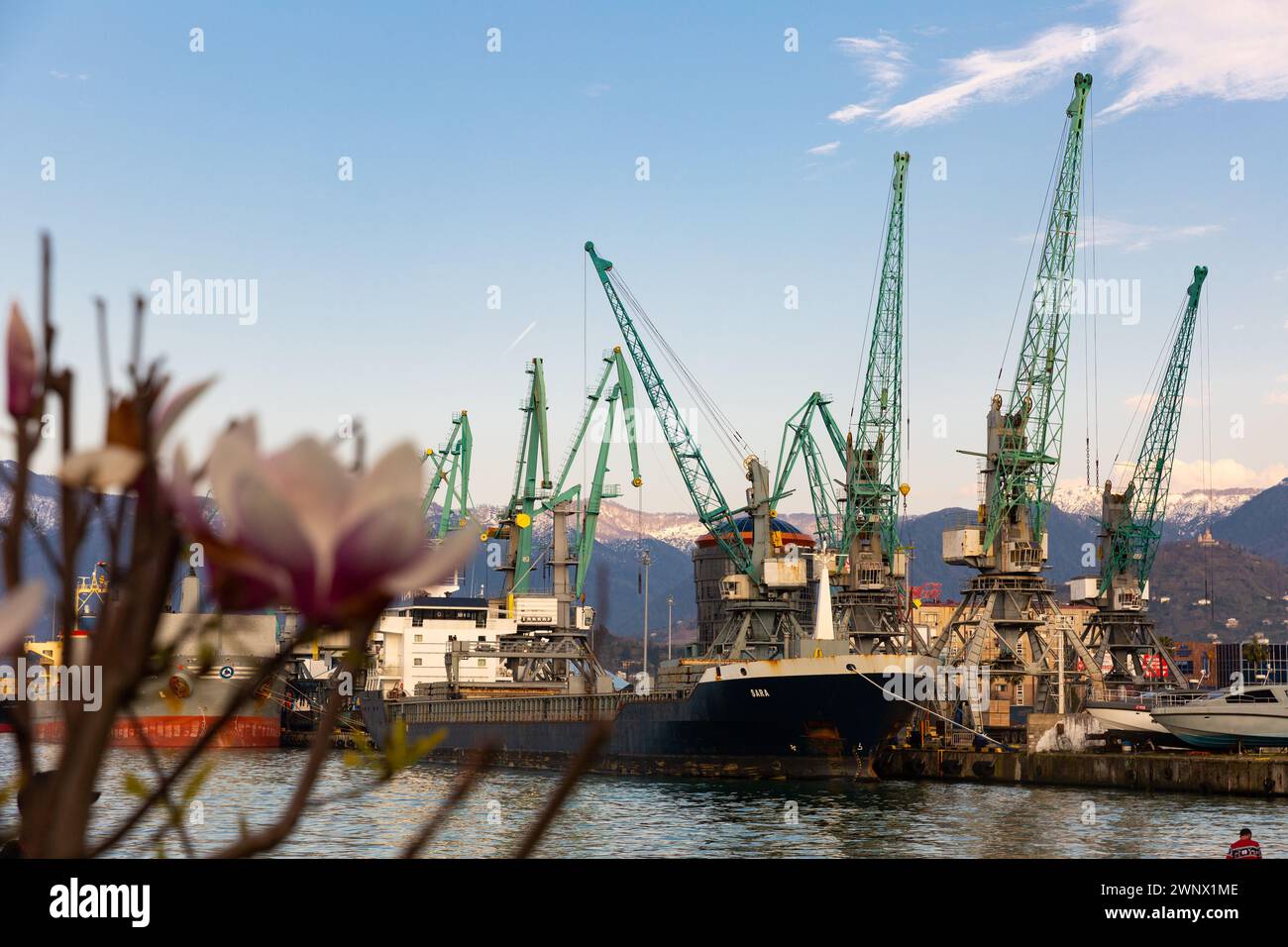 Berthing line of Batumi Sea trade Port with cargo cranes Stock Photo ...