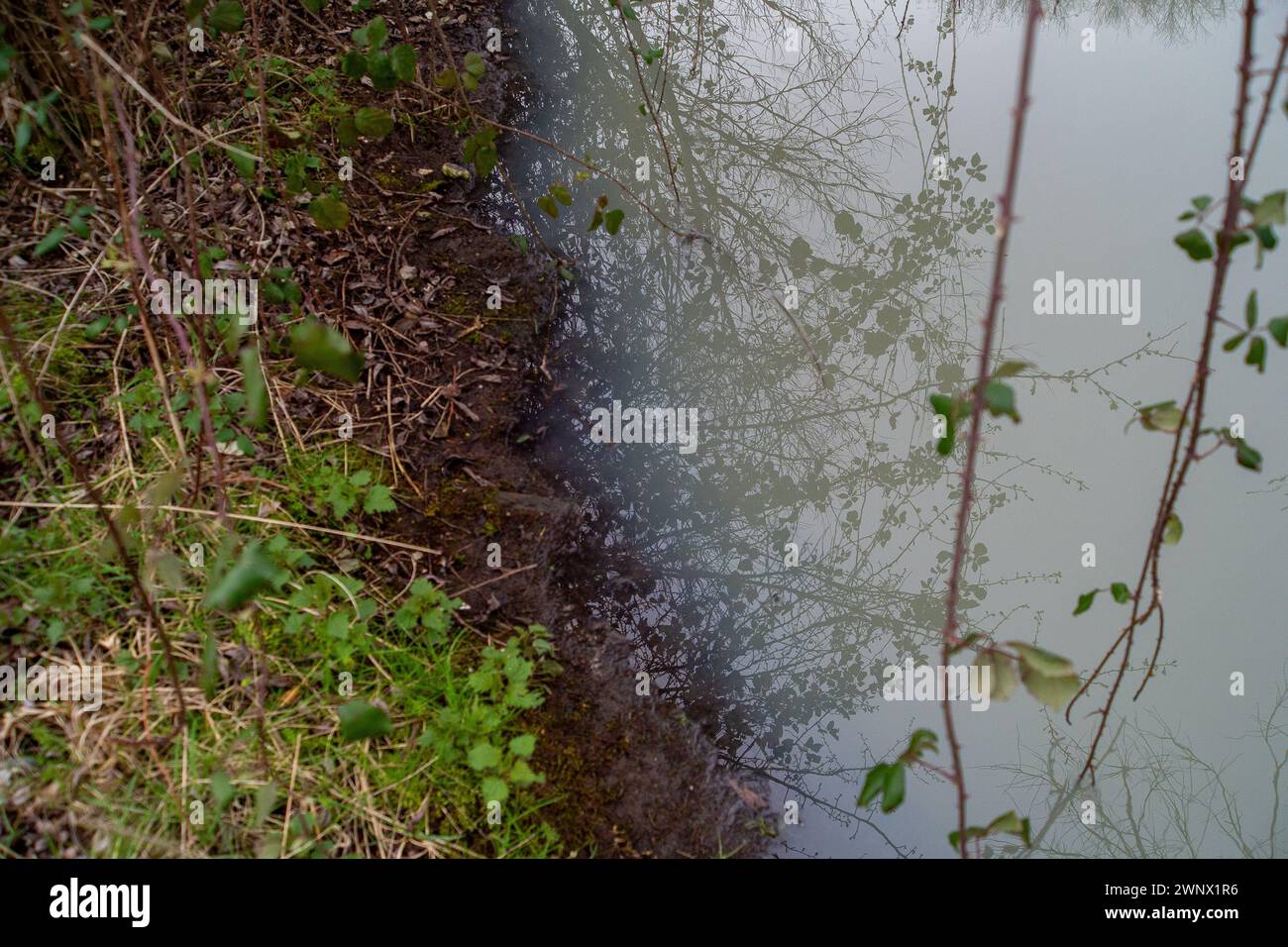 Slough, UK. 4th March, 2024. Thames Water are discharging sewage from ...