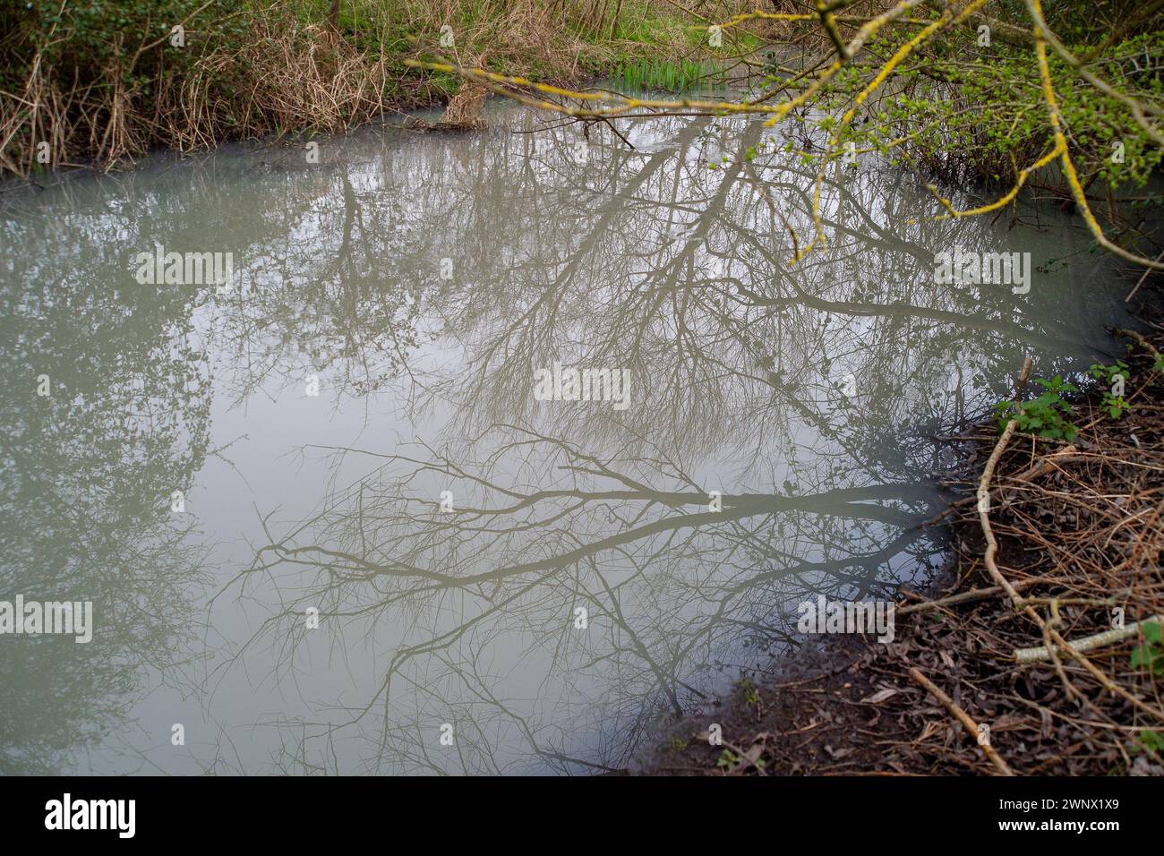 Slough, UK. 4th March, 2024. Thames Water are discharging sewage from ...