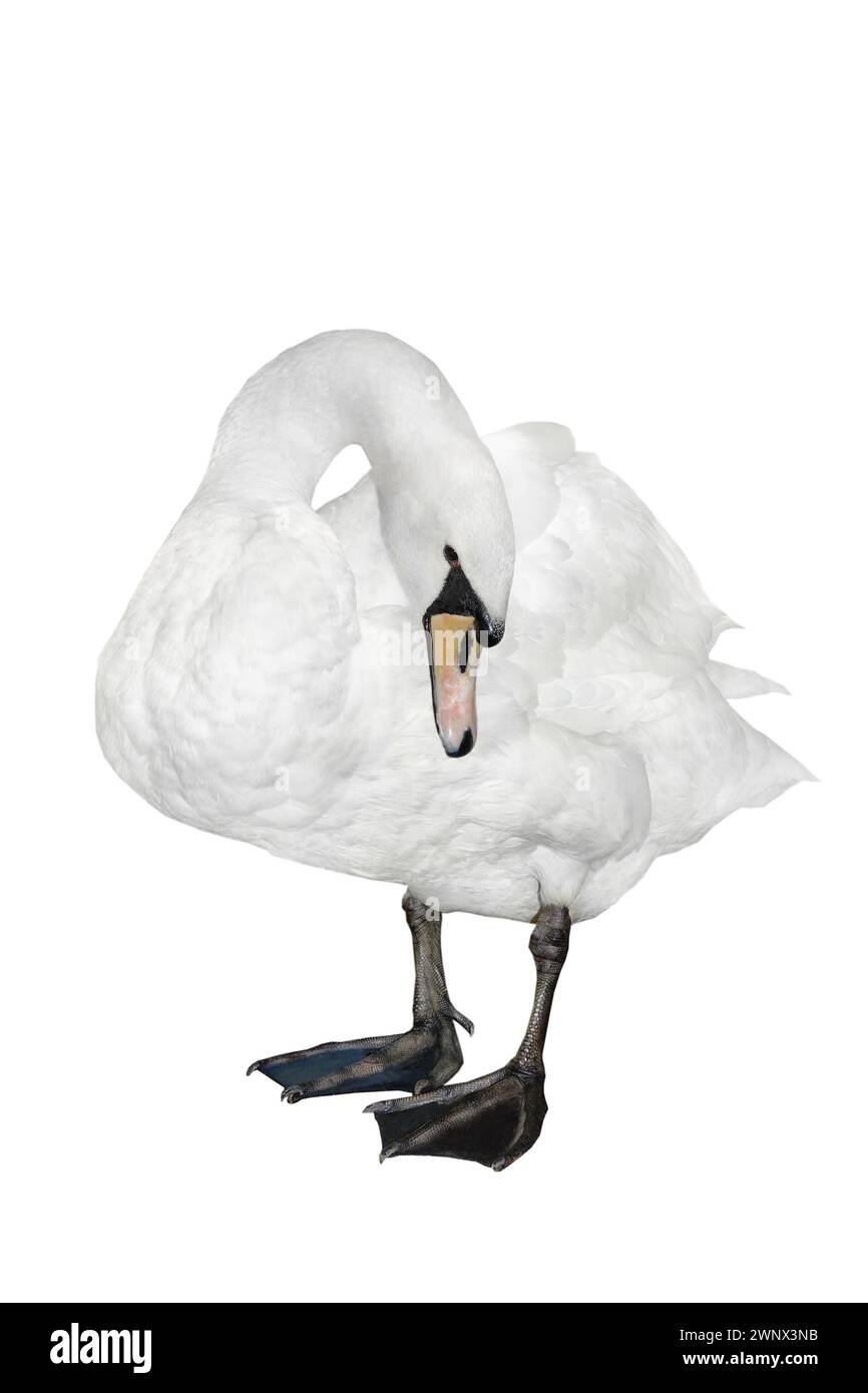 Beautiful water on dark background Cut Out Stock Images & Pictures - Alamy