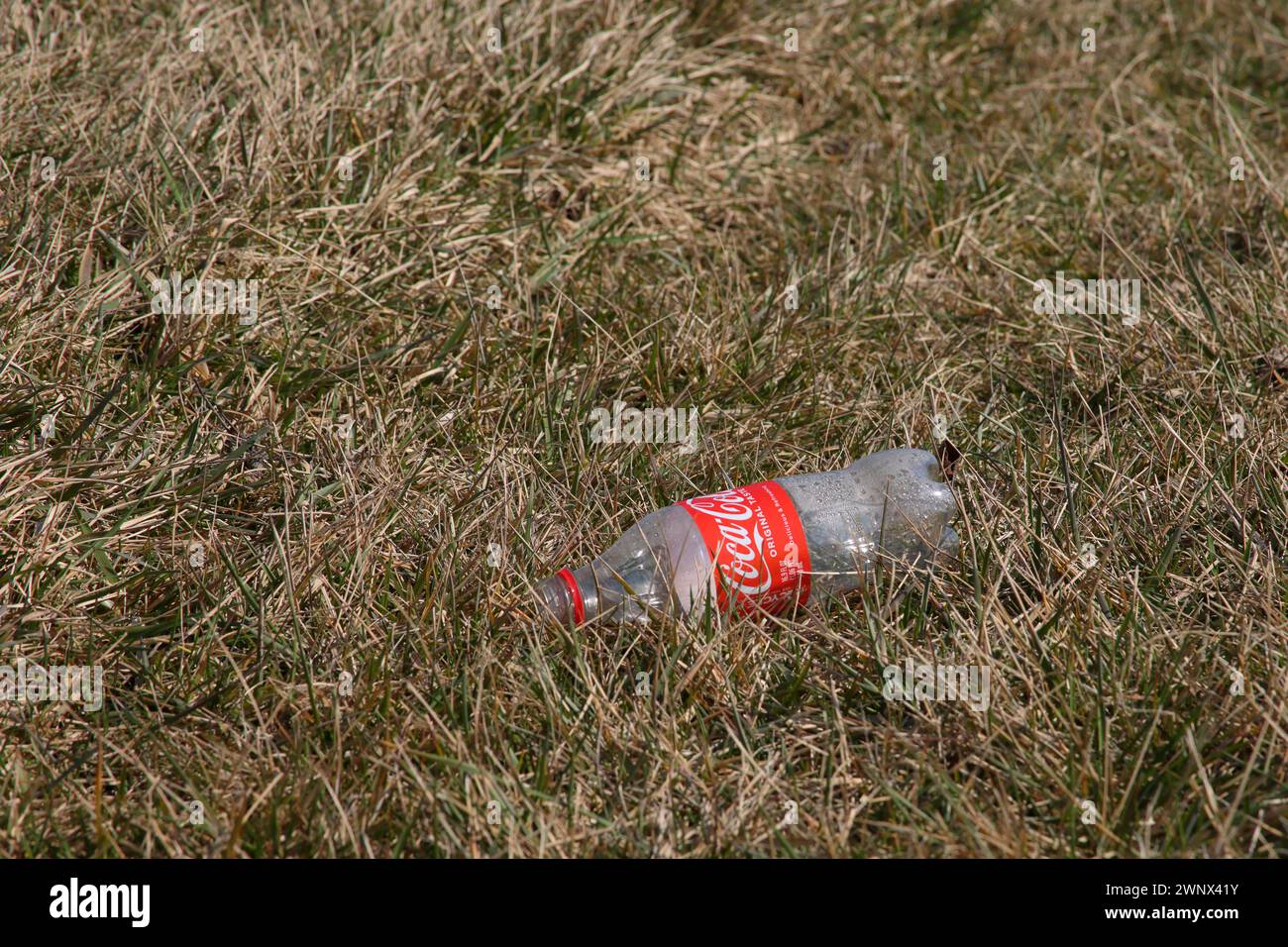 Litter in the grass along a roadside Stock Photo - Alamy