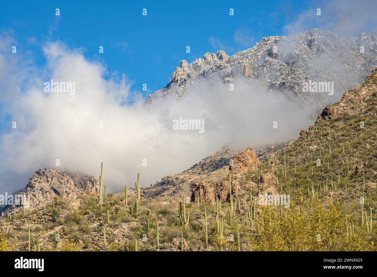 Southwest artwork hi-res stock photography and images - Alamy