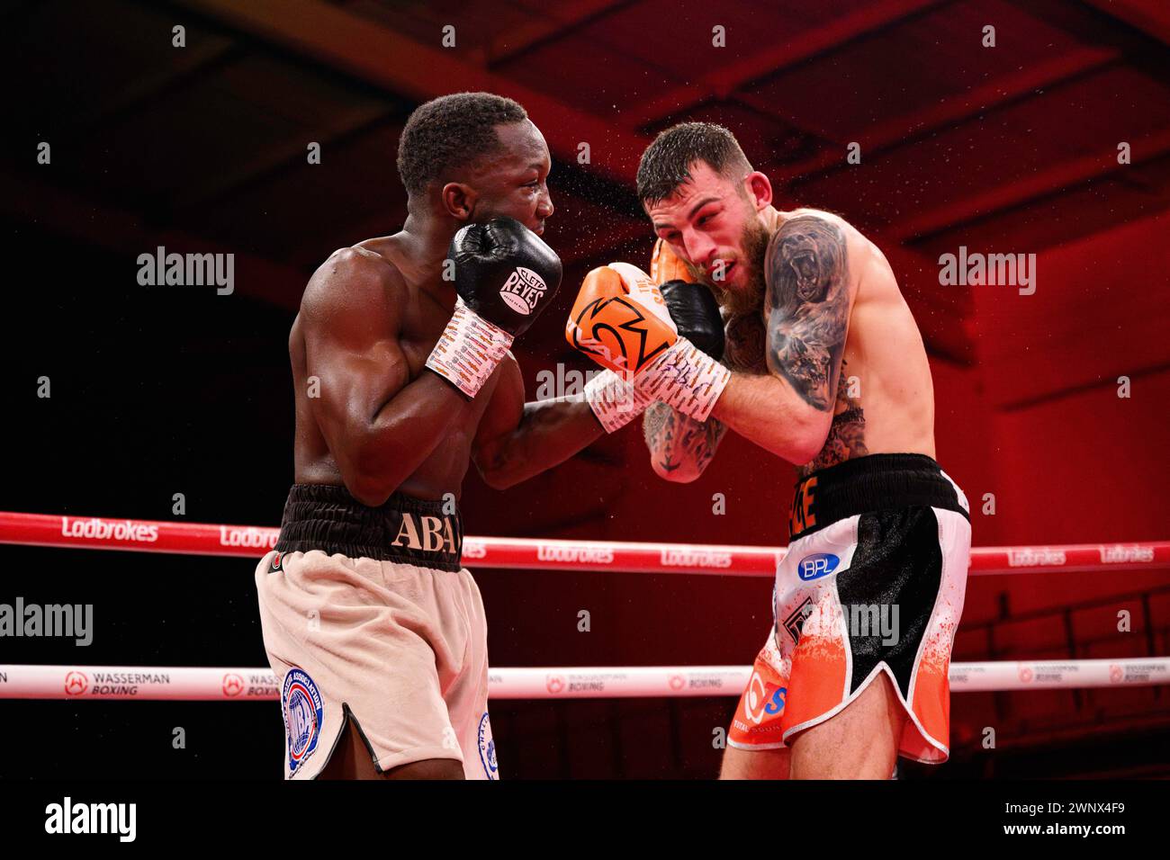 Show baraou vs hi-res stock photography and images - Alamy