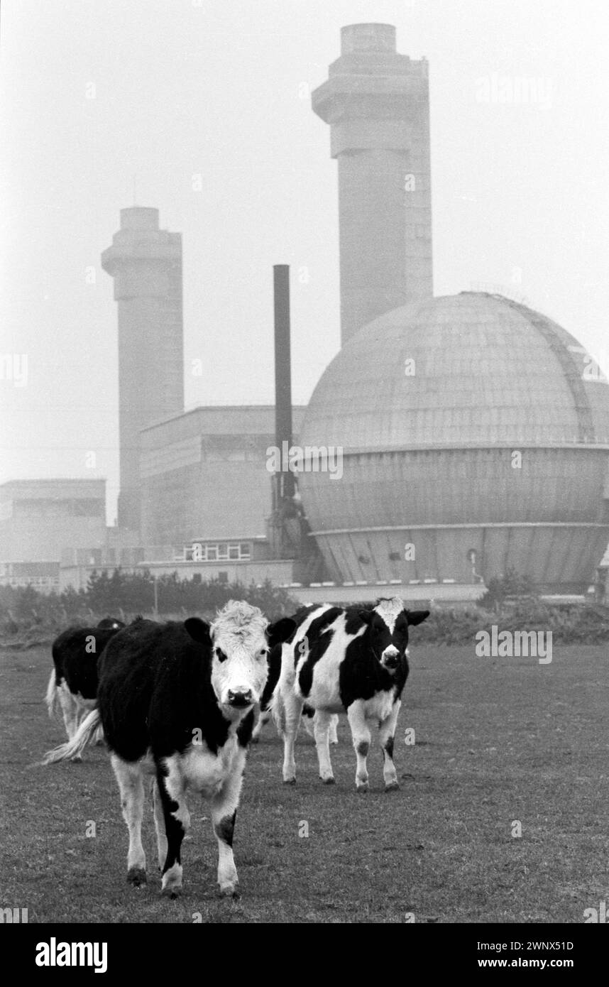Milk processing site Black and White Stock Photos & Images - Alamy
