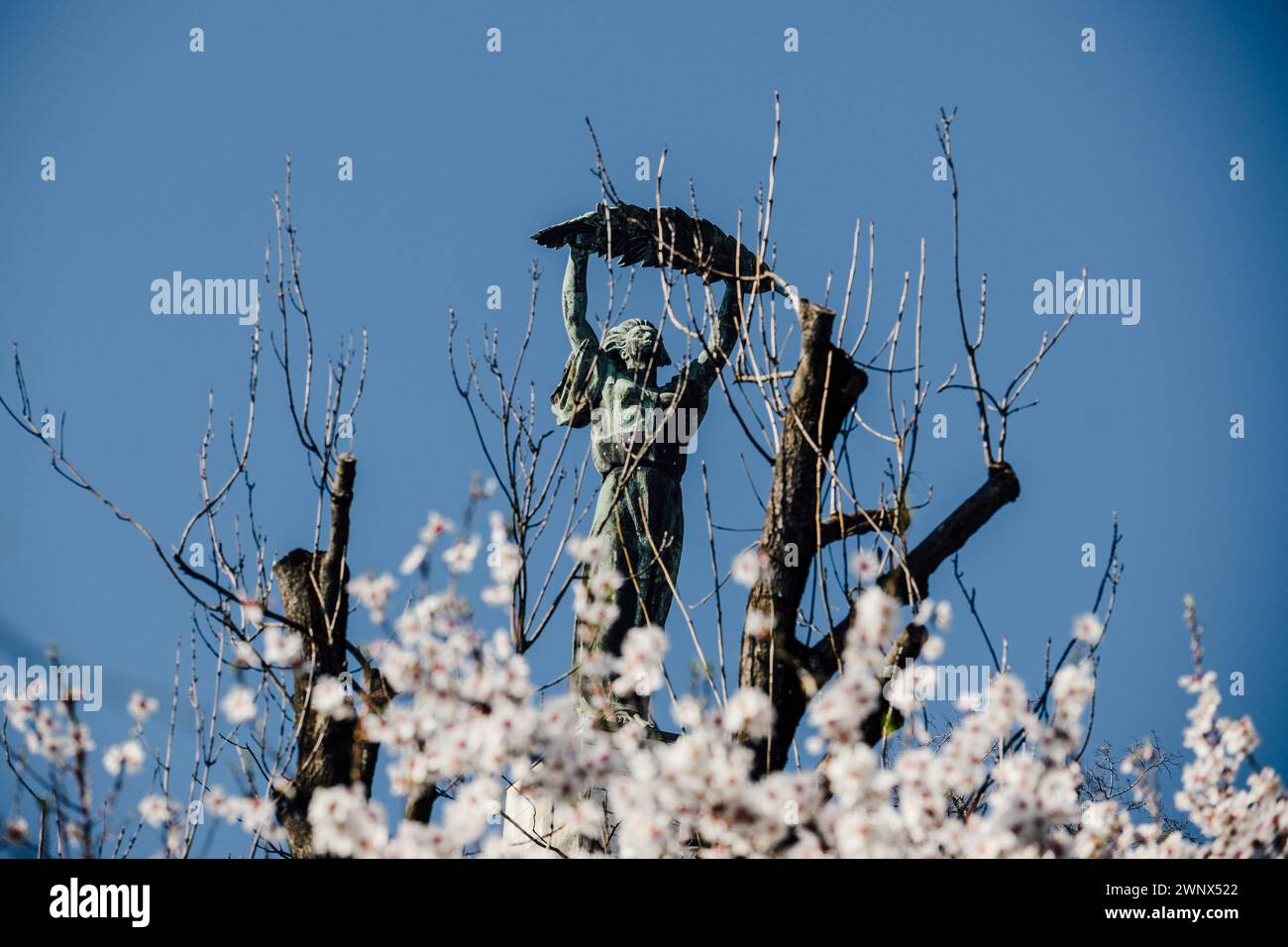 Statue of liberty flowers hi-res stock photography and images - Alamy