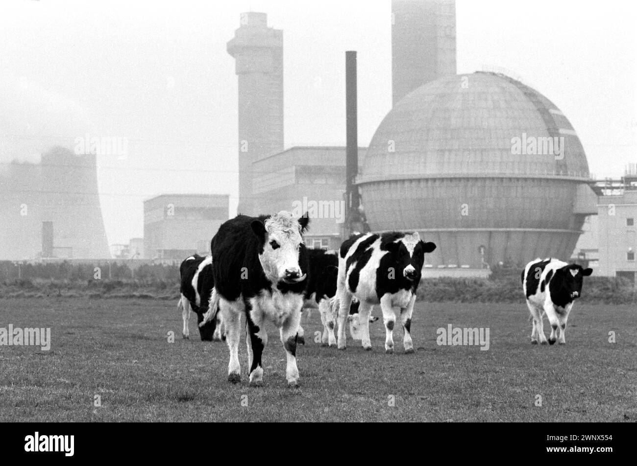 Nuclear Energy UK. Windscale and Calder Nuclear processing plant ...