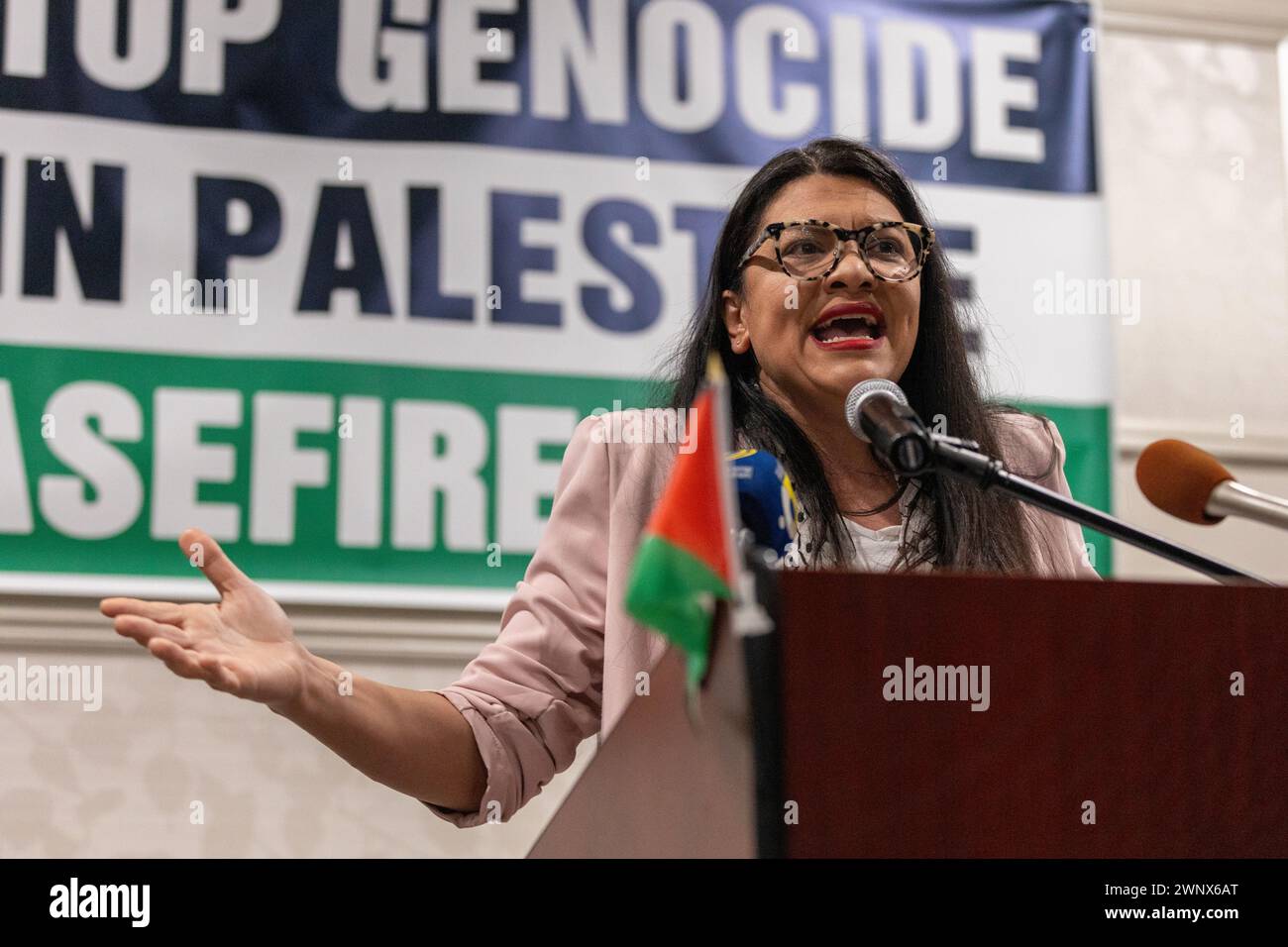 Rep. Rashida Tlaib speaks in Dearborn, Michigan on Sunday, February 25 ...