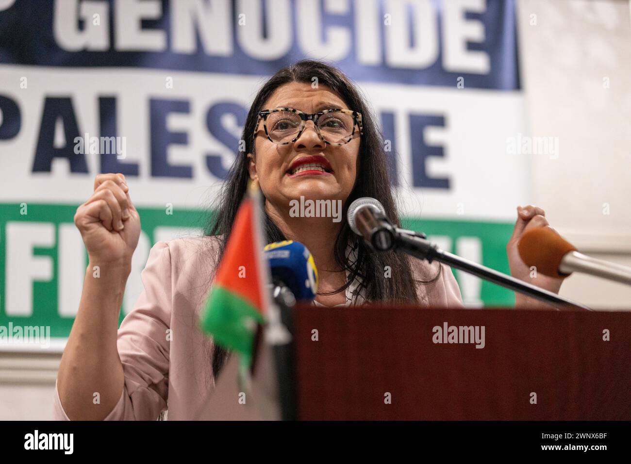 Rep. Rashida Tlaib speaks in Dearborn, Michigan on Sunday, February 25 ...