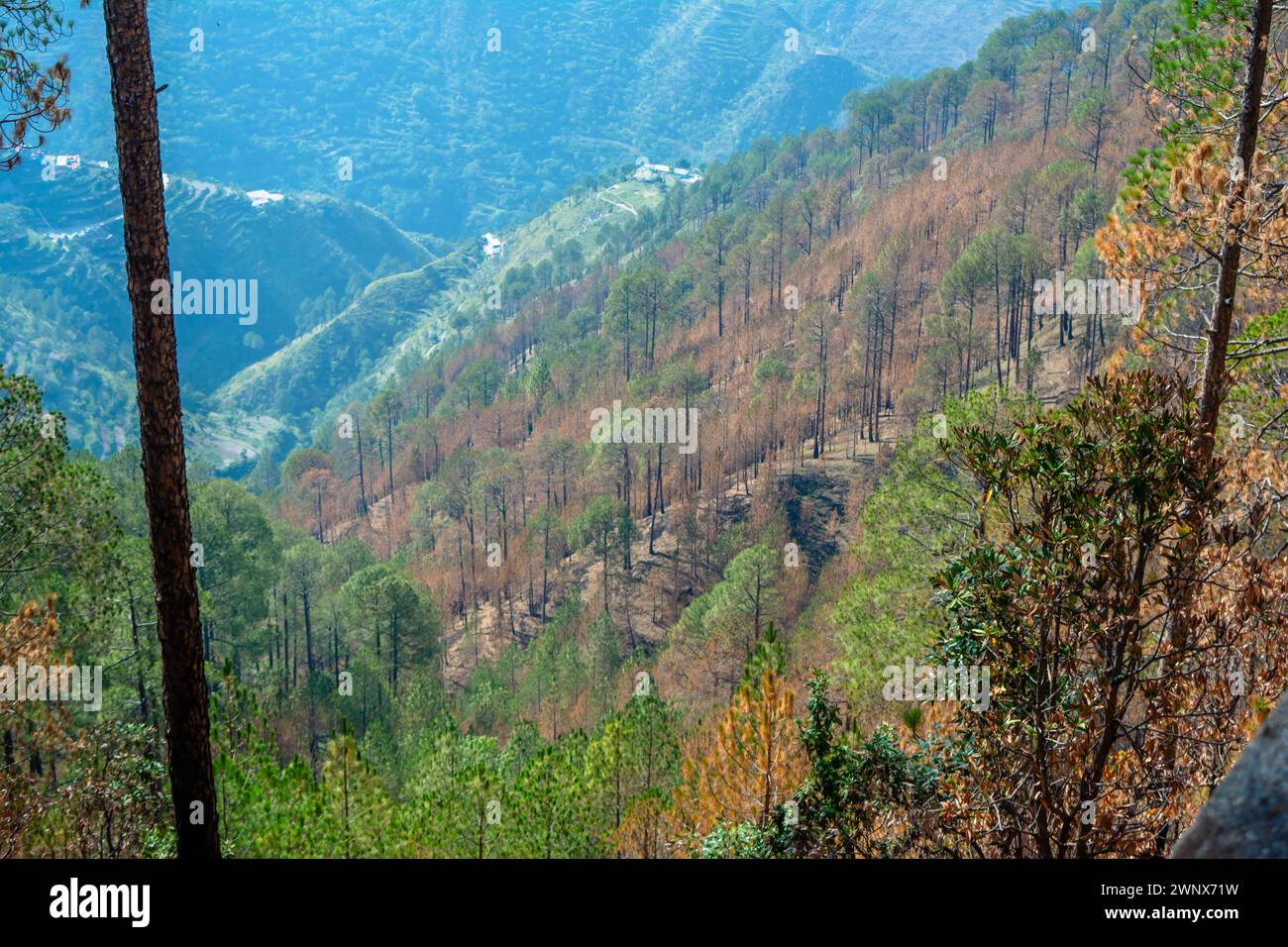 Tehri lake surrounded by mountains in Uttarakhand, india, Tehri Lake is ...