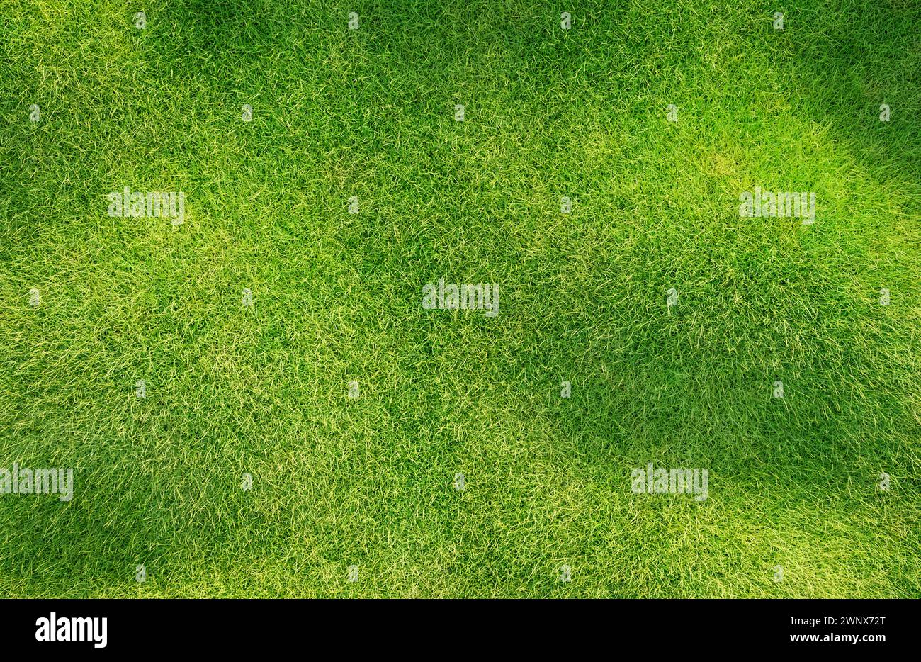 Green grass texture. Stadium grass. Green grass texture background Top ...