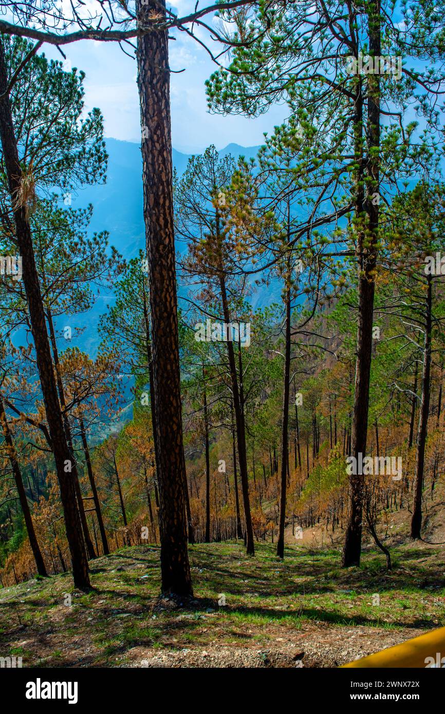 Tehri lake surrounded by mountains in Uttarakhand, india, Tehri Lake is ...