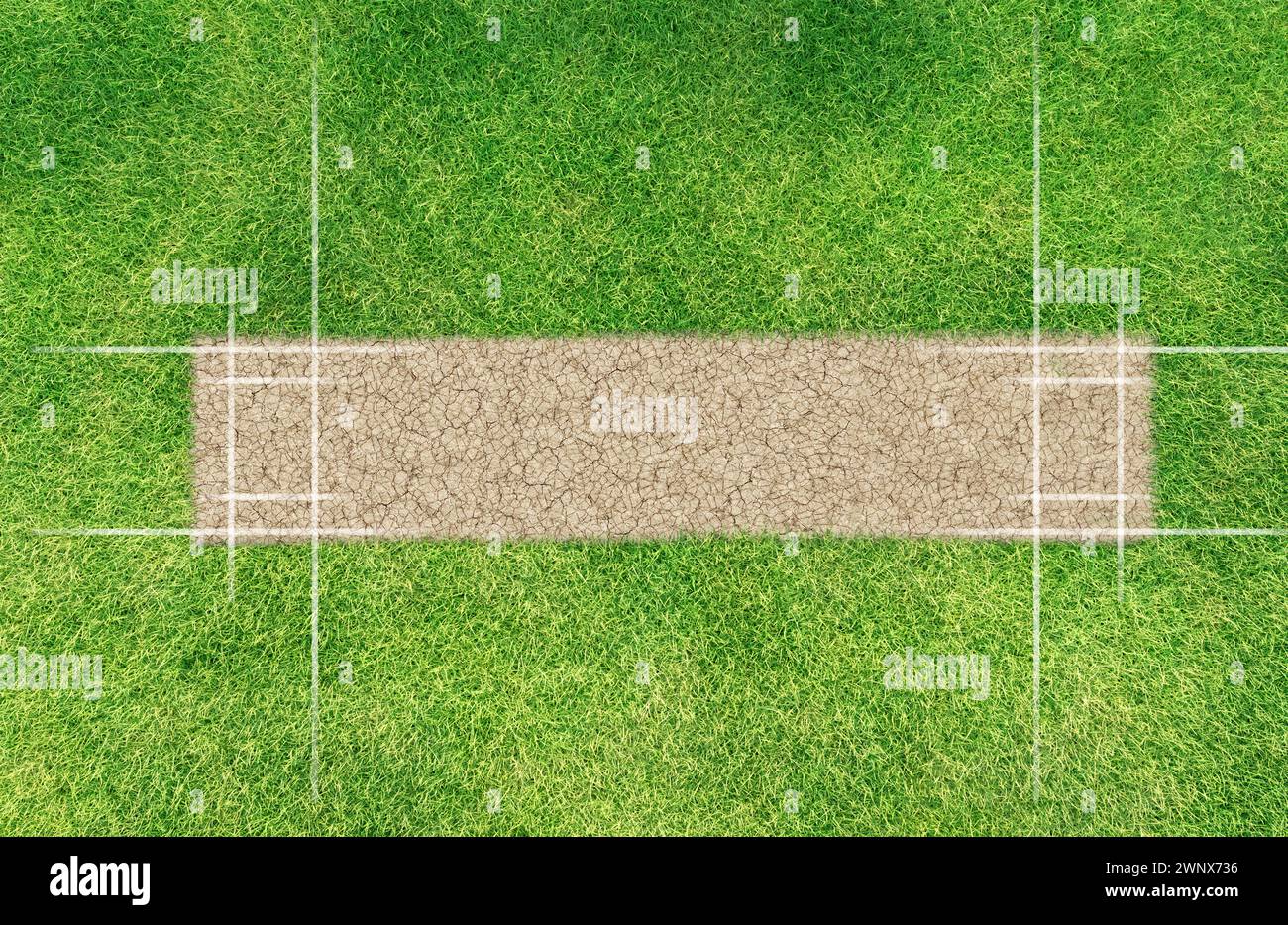 Cricket pitch 3d hi-res stock photography and images - Alamy