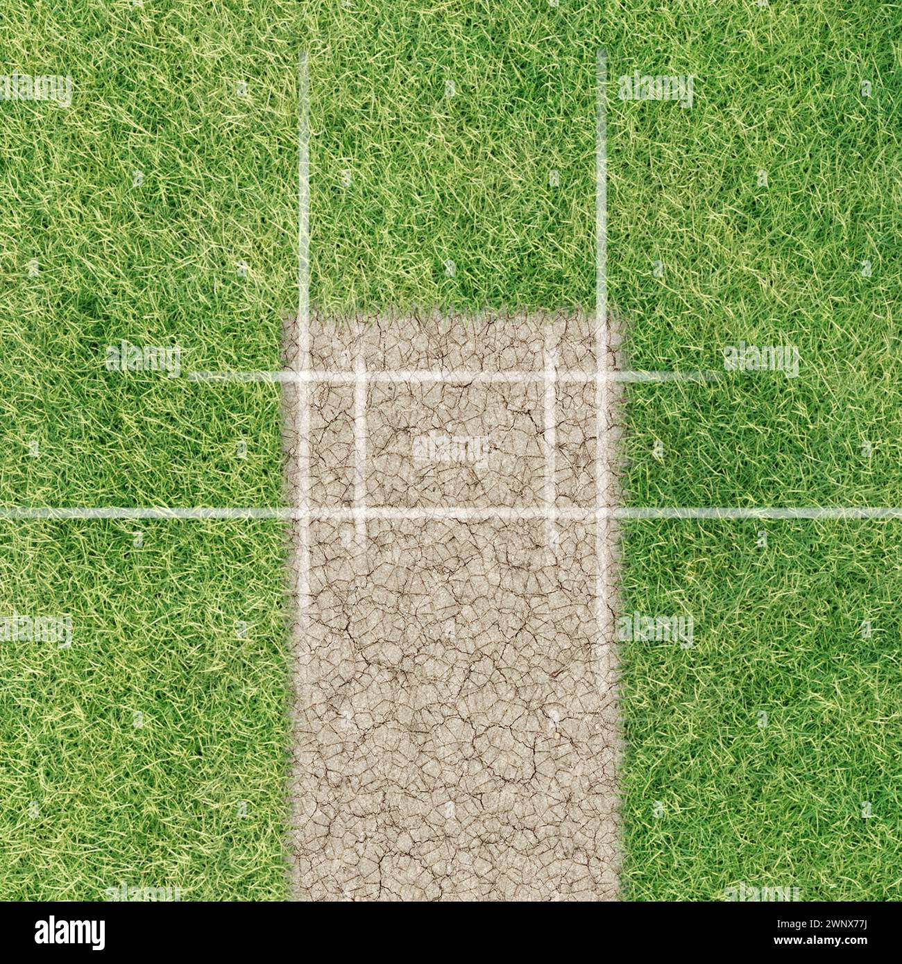 Cricket pitch 3d hi-res stock photography and images - Alamy