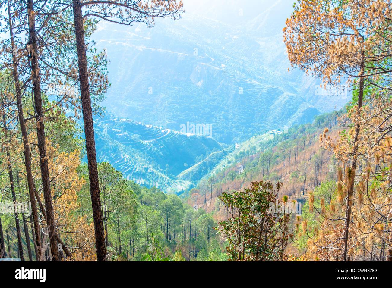 Tehri lake surrounded by mountains in Uttarakhand, india, Tehri Lake is ...