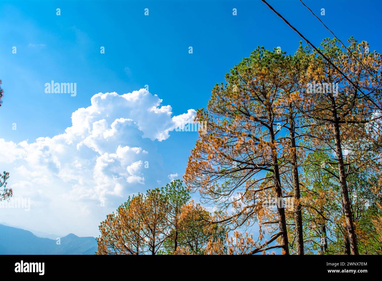 Tehri lake surrounded by mountains in Uttarakhand, india, Tehri Lake is ...