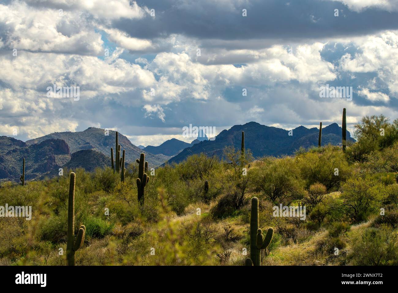 Desert Southwest Landscape Stock Photo - Alamy