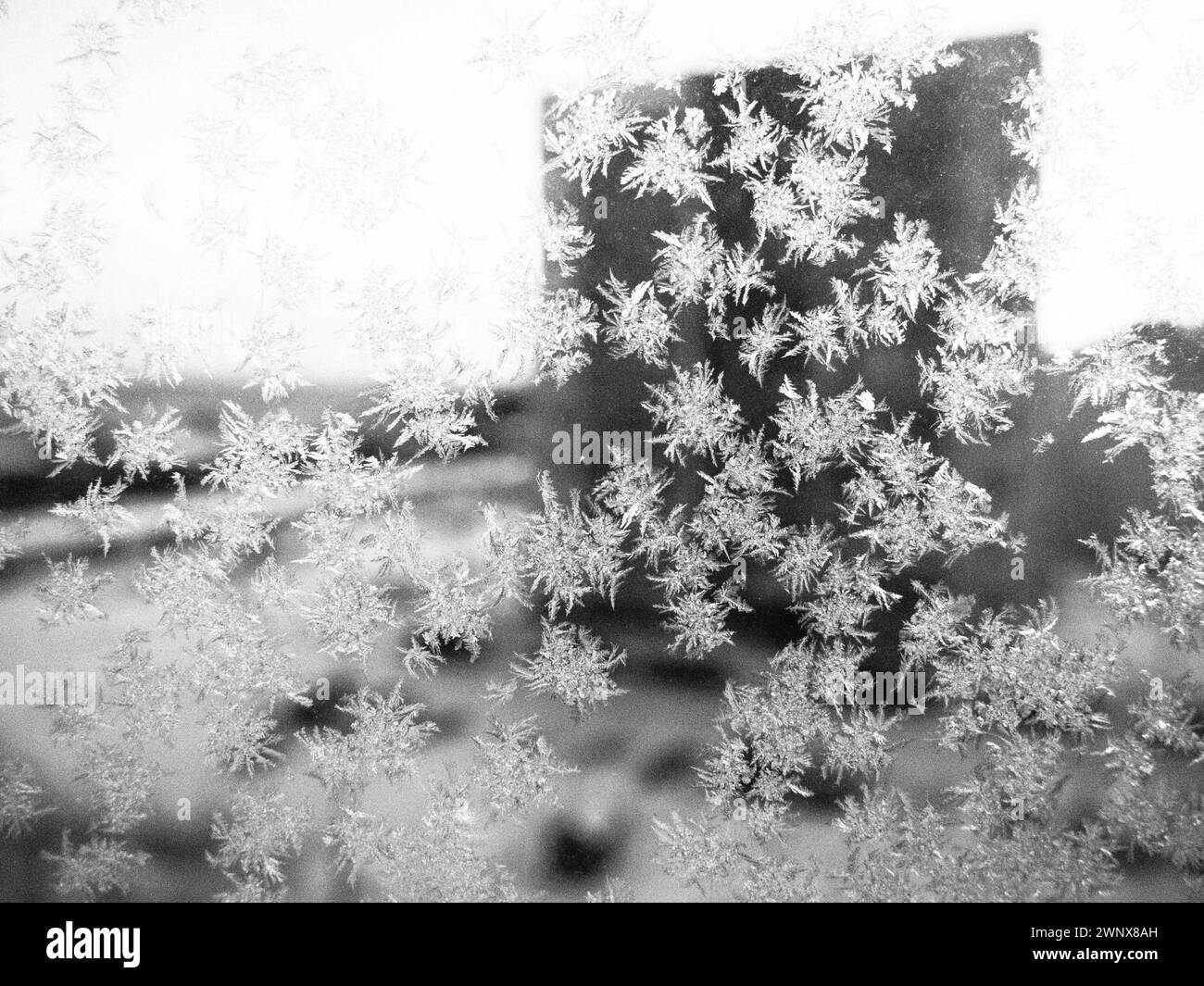 Icy winter sparkle Black and White Stock Photos & Images - Alamy