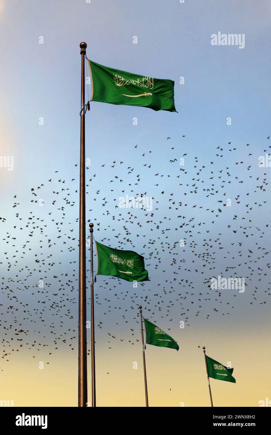 National flag of Saudi Arabia waving among birds flying in the sky ...