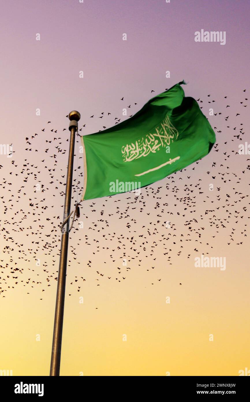 National flag of Saudi Arabia waving among birds flying in the sky ...