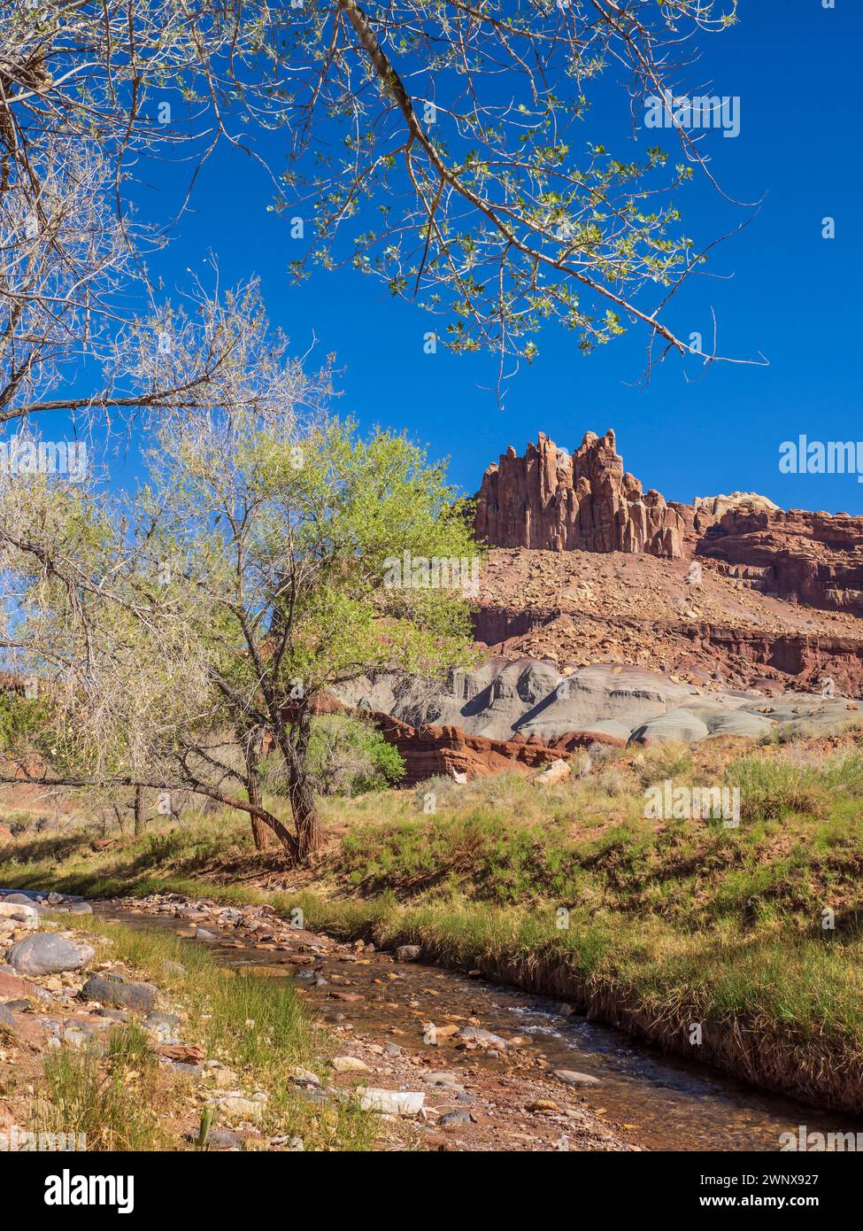 The Castle formation, Capitol Reef National Park, Torrey, Utah Stock ...