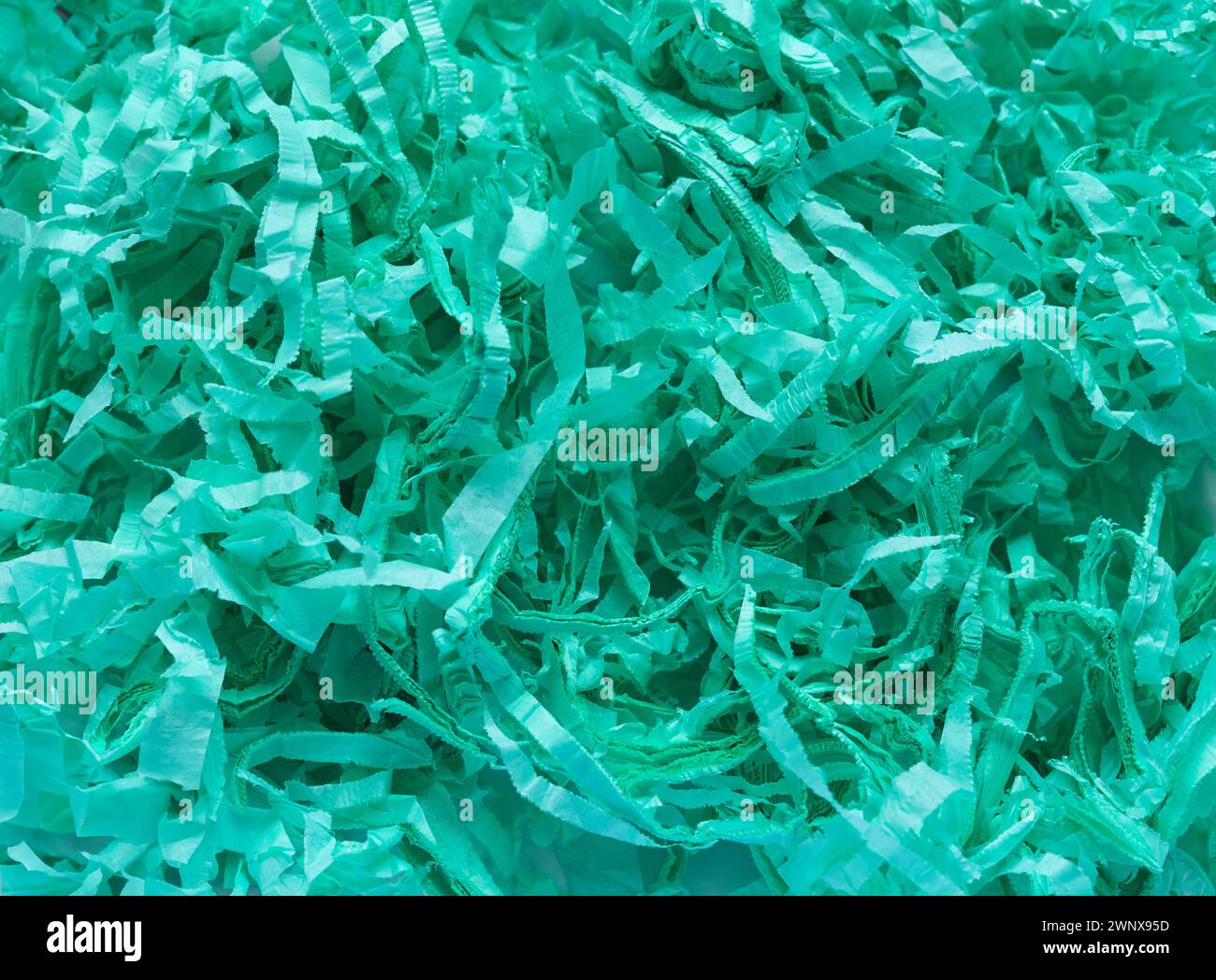 Close detail shredded paper hi-res stock photography and images - Alamy