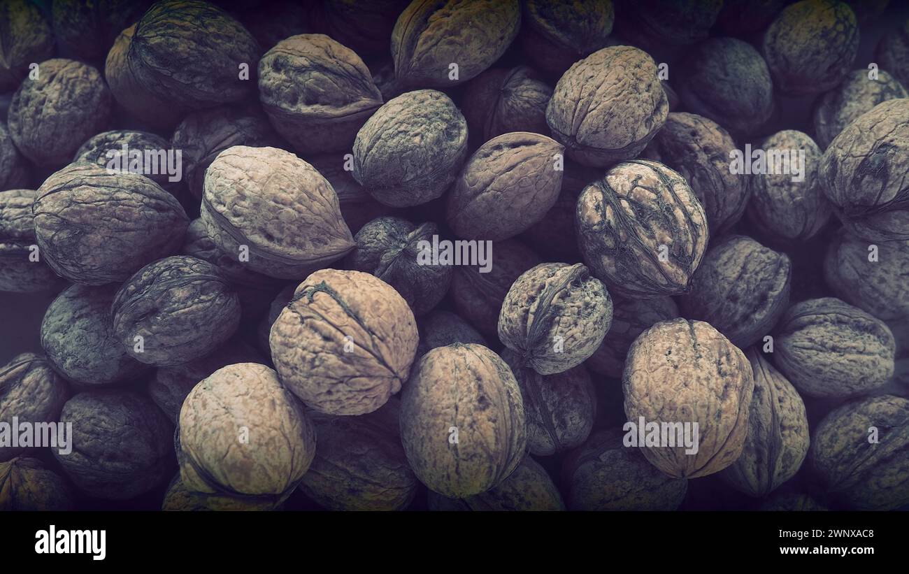 Lots of walnuts close up. Unpeeled walnuts with shells. A bunch of nuts ...