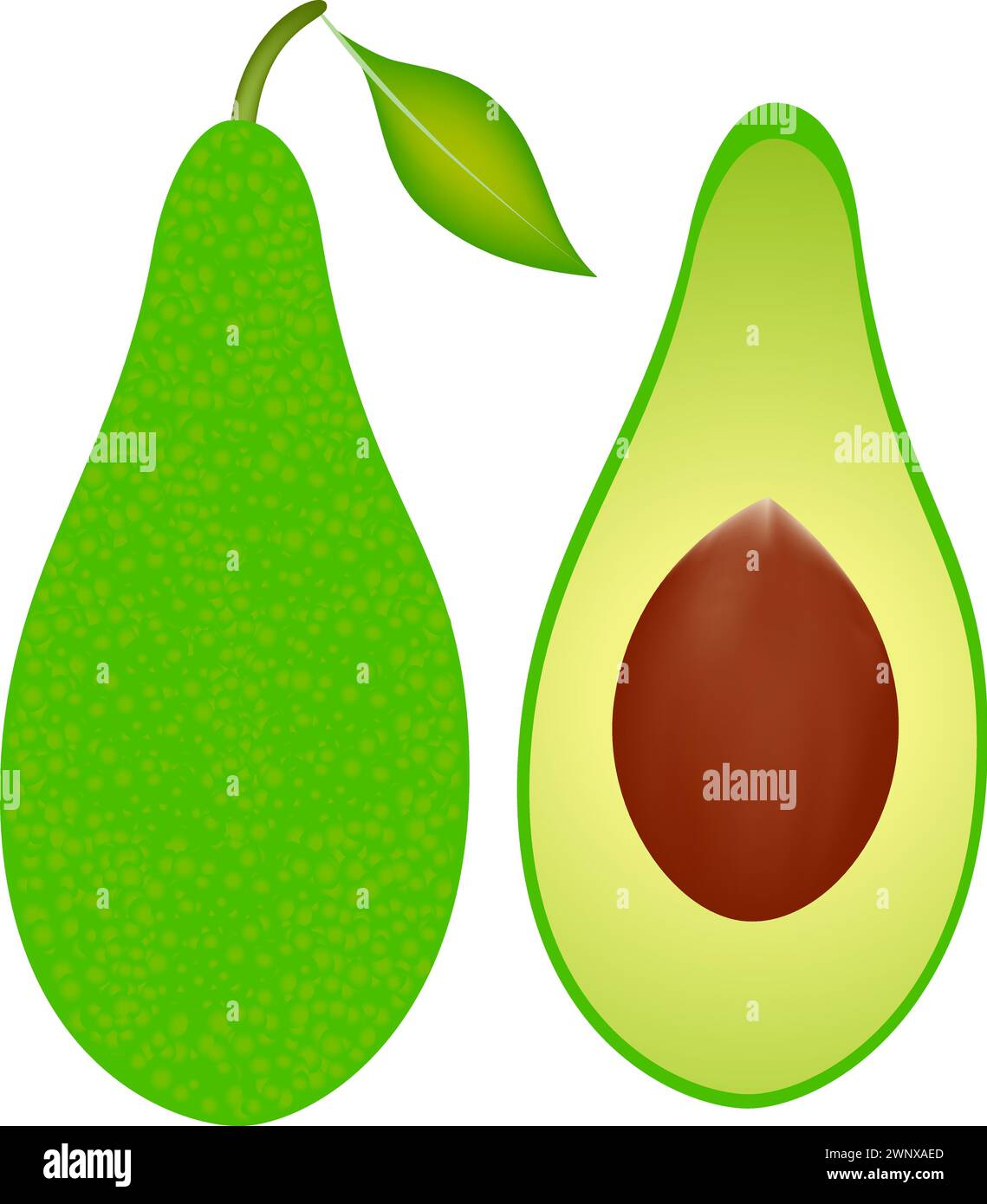 Sliced whole avocado cartoon Cut Out Stock Images & Pictures - Alamy