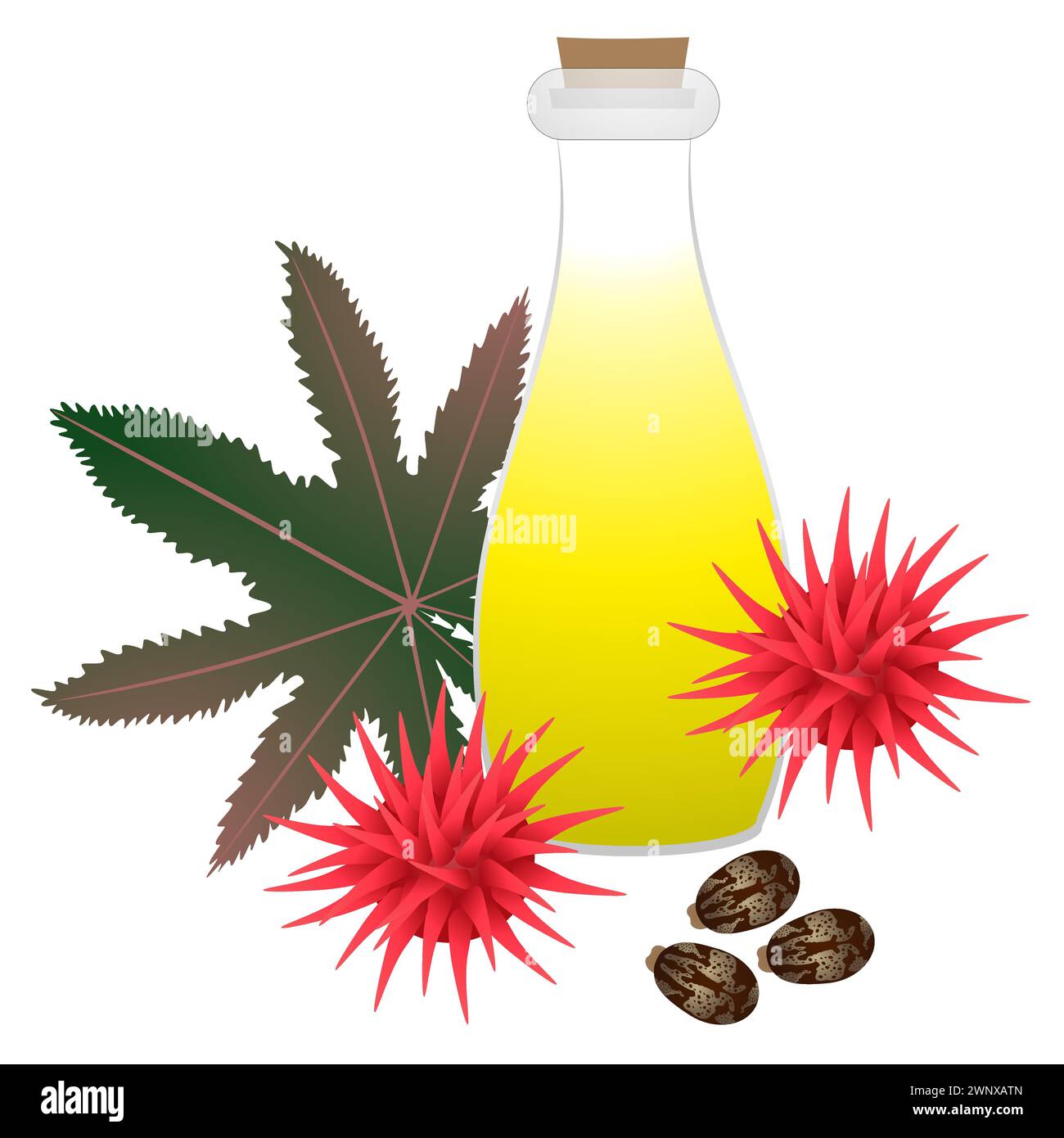 Laxative fruits Stock Vector Images - Alamy