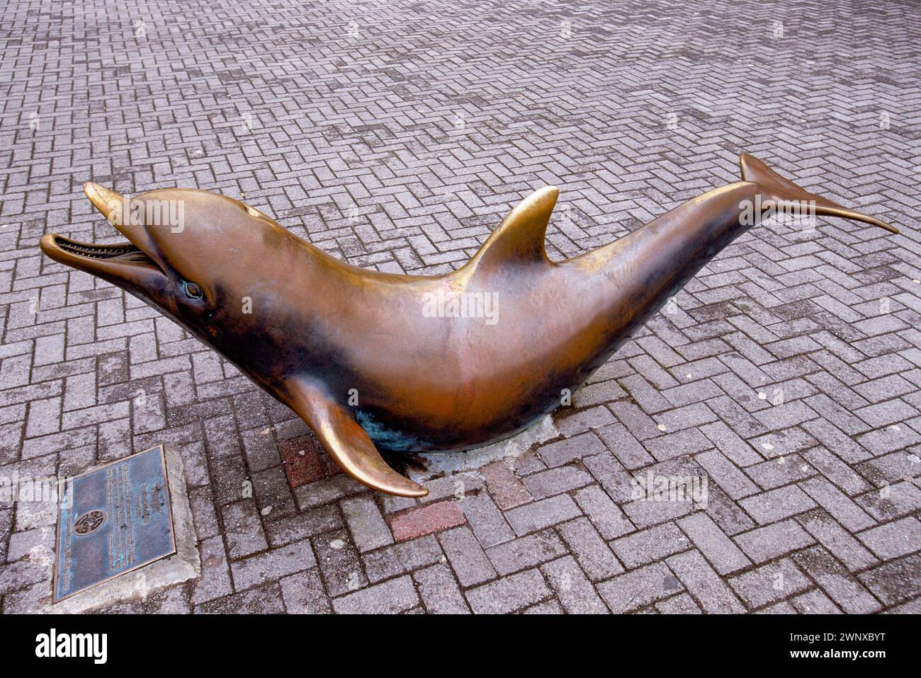 Fungie the Dolphin Statue at the harbour in Dingle, County Kerry ...