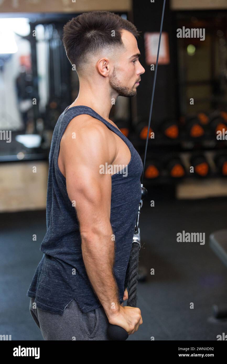 muscular man doing triceps exercise at gym Stock Photo - Alamy