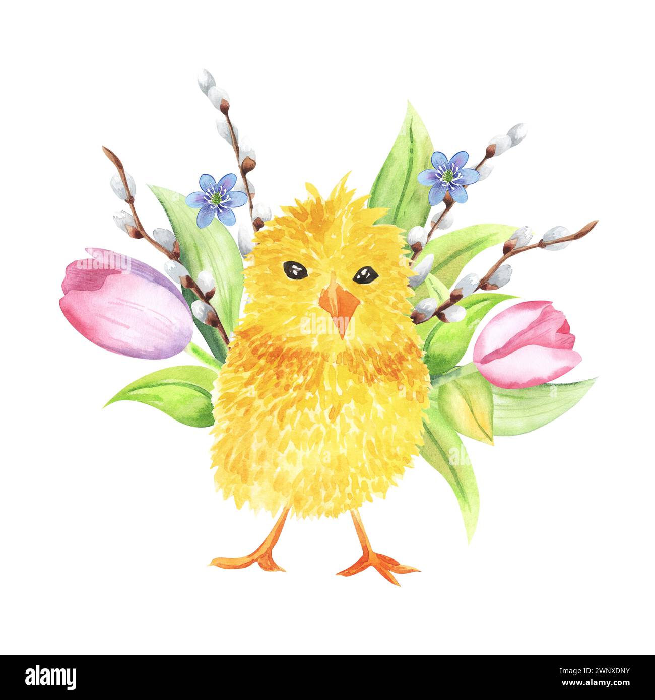 Easter watercolor illustration of chick, flowers, tulips, narcissus ...
